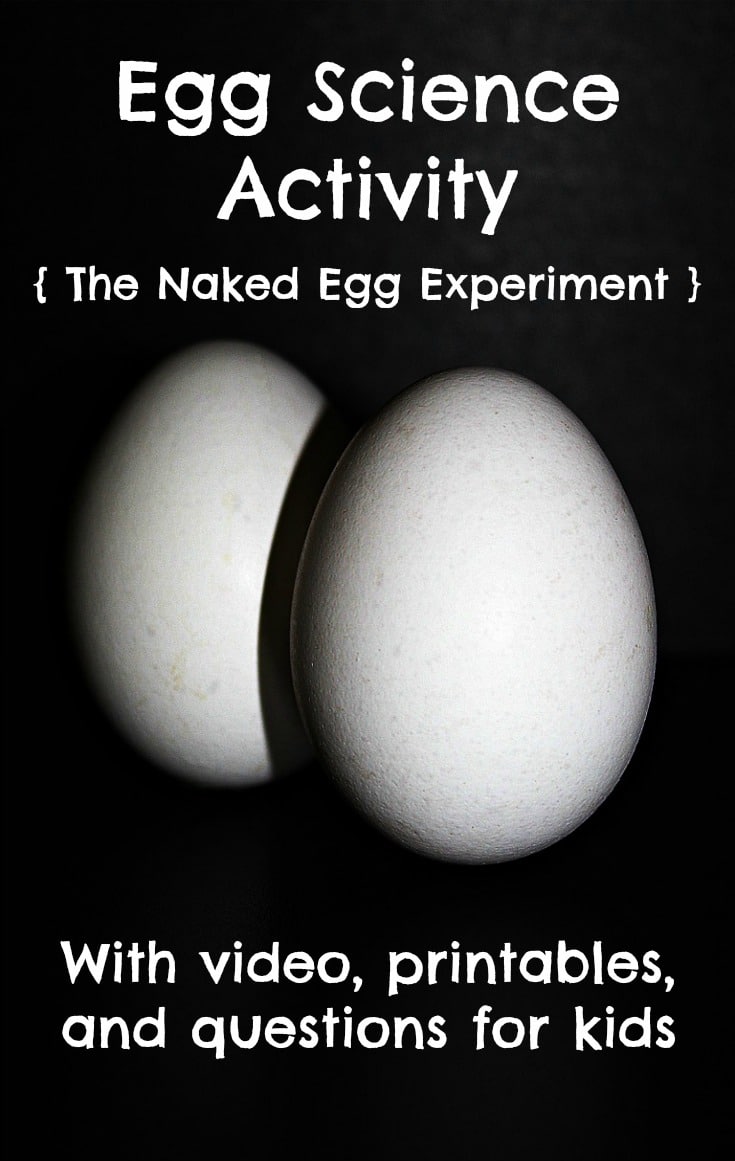 Egg Science Experiments In The Playroom