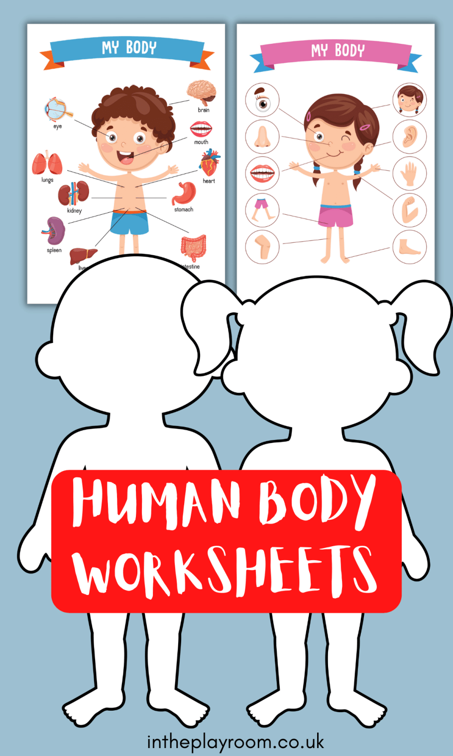 Free Human Body Printables For Kids In The Playroom