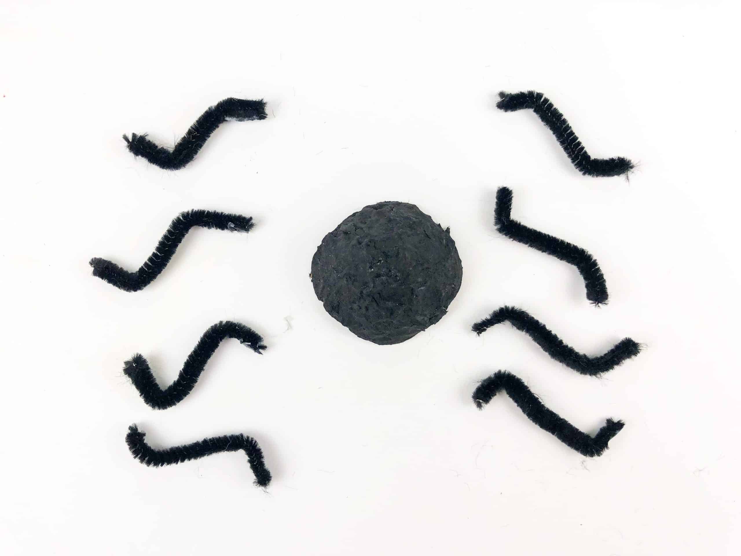 Egg Carton Spider Craft for Kids - In The Playroom